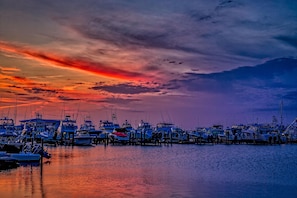 Casa de Férias, várias camas (Magnolia Bay 8619 G ) | Marina