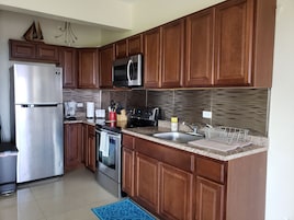 Apartamento luxo | Cozinha privada | Geladeira grande, micro-ondas, fogão, cooktop