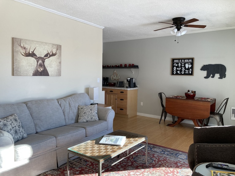 The Alpine Oasis - New Hampshire