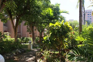 Jardim