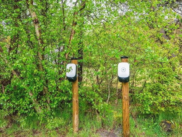 Dois postes de madeira com objetos brancos e pretos presos, rodeados por folhagem verde densa.