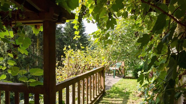 Uma pérgola de madeira com guarda-corpo de madeira, rodeada por vegetação exuberante e videiras.