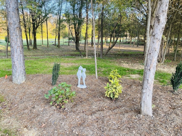 Bella Terra (Upper) - Midland, NC