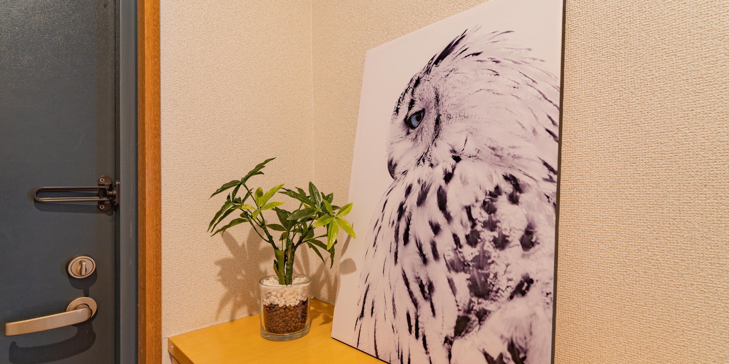 Uma porta com puxador, um vaso de vidro com uma planta e um quadro grande de uma coruja na parede.