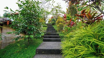 Jardim