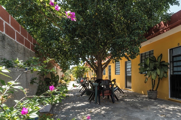 TV de tela plana 32 polegadas com canais via satélite, TV