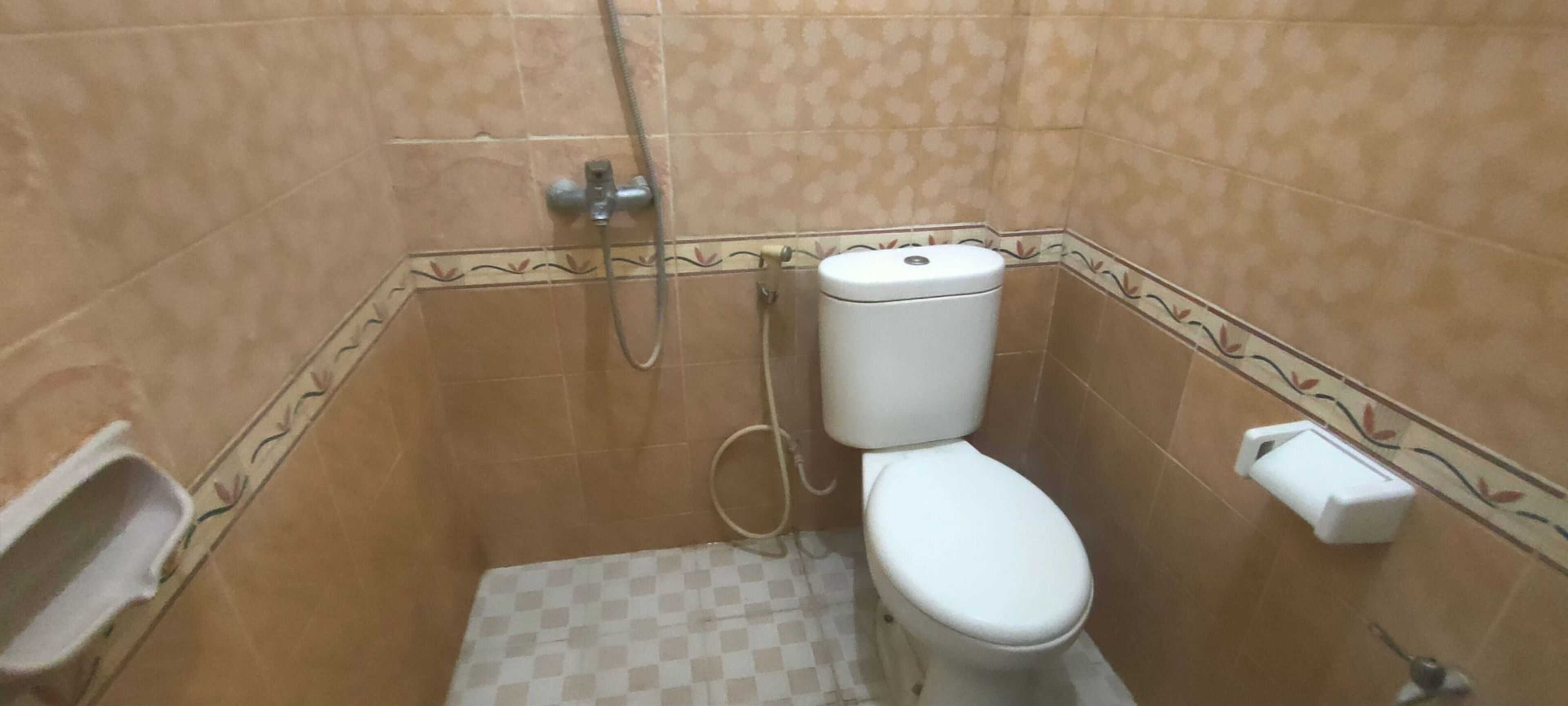 Uma casa de banho pequena com sanita, chuveiro e bidé.