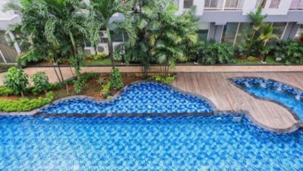 Uma piscina com deck de madeira e vegetação ao redor.