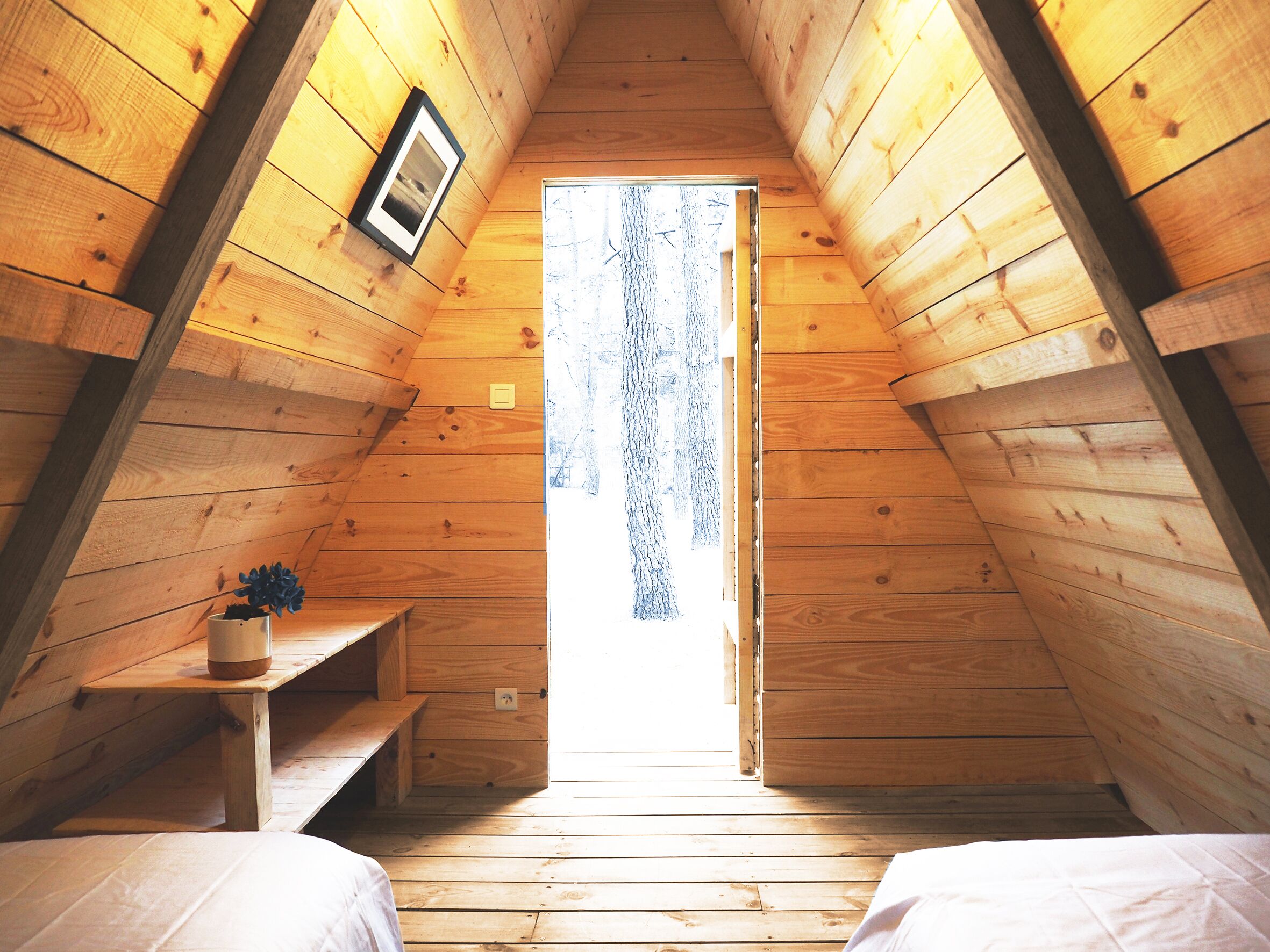 Hoya Surf Camp Activités+cabane - Biscarrosse