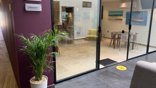 Um interior moderno com parede roxa, planta em vaso e porta de vidro que dá para uma área de jantar com mesas e cadeiras.