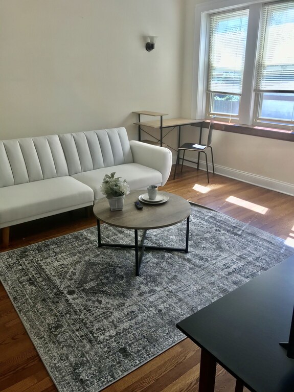 Entire City Apartment With Free Street Parking - Chicago, IL