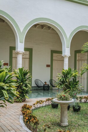 Vista para o jardim