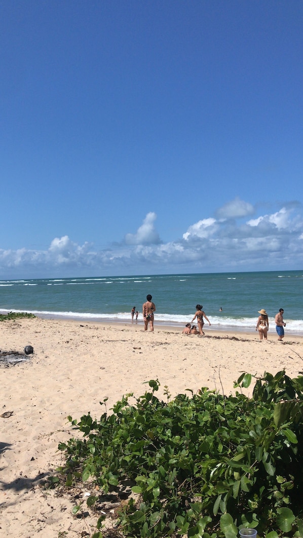 Perto da praia, praia de areia branca, autocarro para a praia