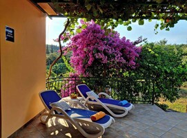 Terraço/pátio interior
