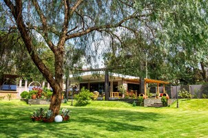 Uma casa moderna com alpendre coberto, cercada por um gramado bem cuidado e diversas plantas.
