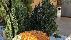 Uma área de jardim com um canteiro de flores grande, arbustos diversos e entrada de um edifício.