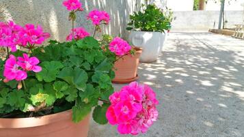 Apartamento (Two Bedroom Apartment -Terrace and Se) | Fachada