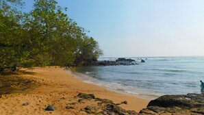 Uma praia arenosa com afloramentos rochosos e folhagem verde exuberante.