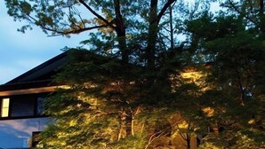 Uma propriedade residencial com entrada pavimentada, cerca de madeira e uma árvore.