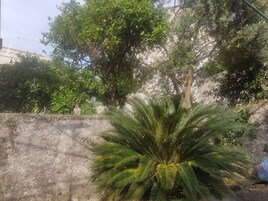 Apartamento (One Bedroom Apartment) | Exterior