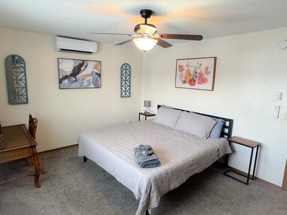 Bright, King Beds, Patio, Laundry, Walk To Downtown! - Spearfish, SD