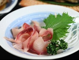 Comida e bebidas