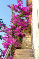 Apartamento (Four Bedroom Apartment -Terrace and S) | Escadas