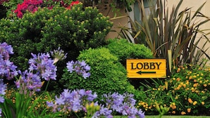 Jardim com uma placa indicando a recepção.