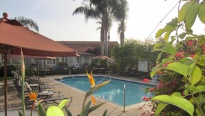 Uma área de piscina com espreguiçadeiras e guarda-sóis, rodeada por plantas tropicais e palmeiras.