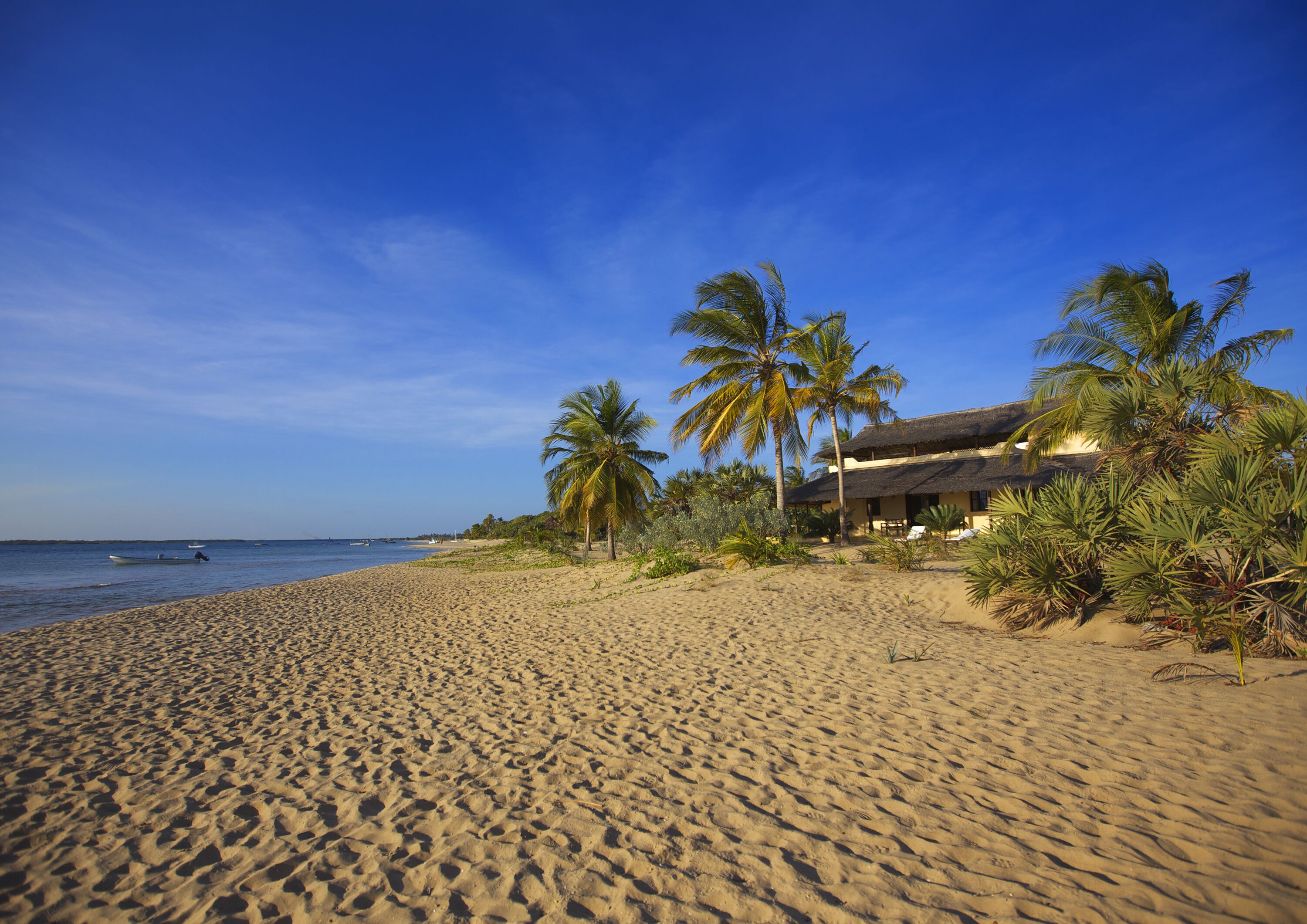 Luxury beachfront holiday house, pool garden all sea views, Forodhani ...