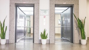 Duas portas de elevador, parede de granito e um vaso de planta no espaço entre elas.