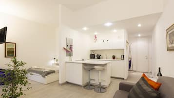 Apartamento | Cozinha privada | Uma placa de cozinha, uma torradeira, Produtos de limpeza