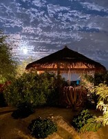 Uma construção com telhado de palha e um jardim na frente, cercada por vegetação densa.