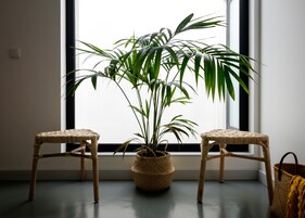 Apartamento conforto, 2 quartos | Área de estar | TV