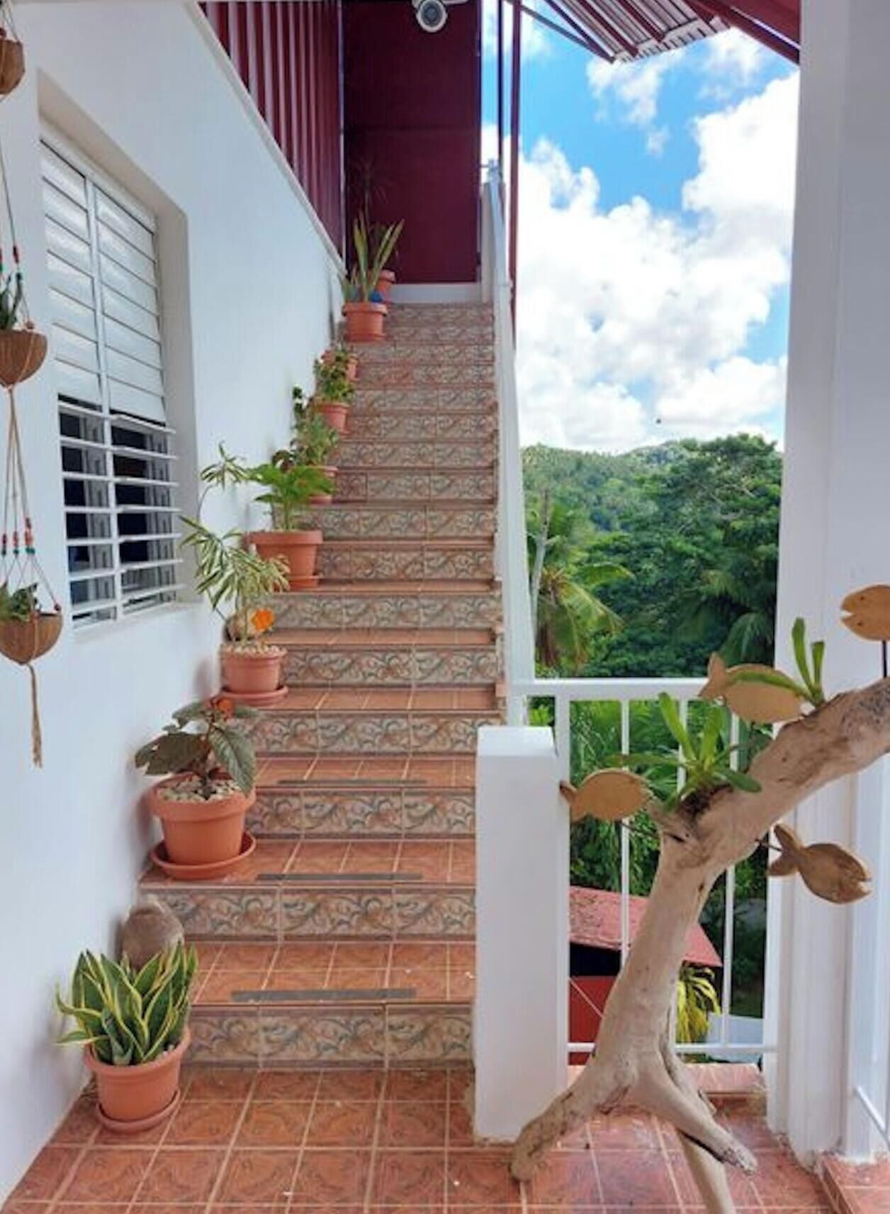 Apartamento, 1 quarto, piscina privativa | Exterior