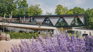 Um edifício moderno com fachada de vidro, varanda e jardim com flores roxas.