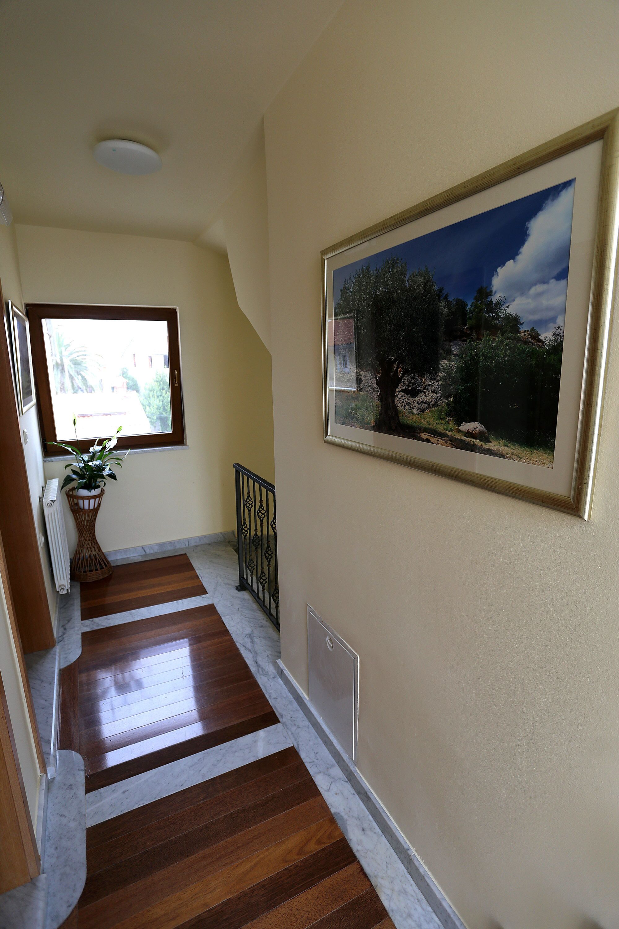 Um corredor com piso de madeira, um vaso de planta, um quadro emoldurado e uma janela com vista para árvores e um edifício.