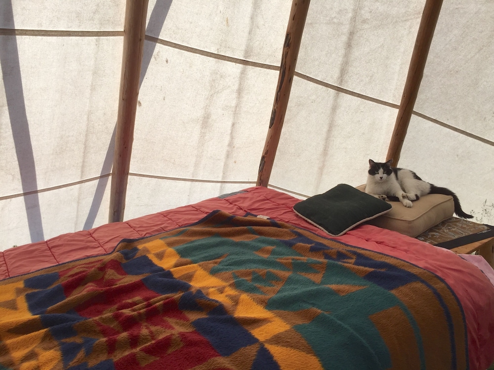 Bird Lodge Tipi's At Stepping Stone - Montana