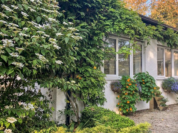 Primrose End - Stratton