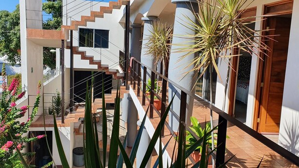 Um edifício moderno com escadas, plantas em vasos e uma varanda.