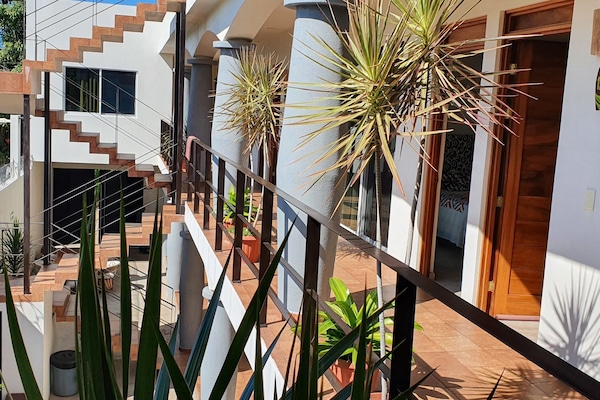 Terraço/pátio interior