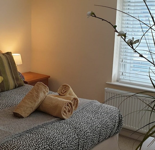 Luxury Double Room With Ensuite In The Heart Of Aberystwyth - Aberystwyth Arts Centre