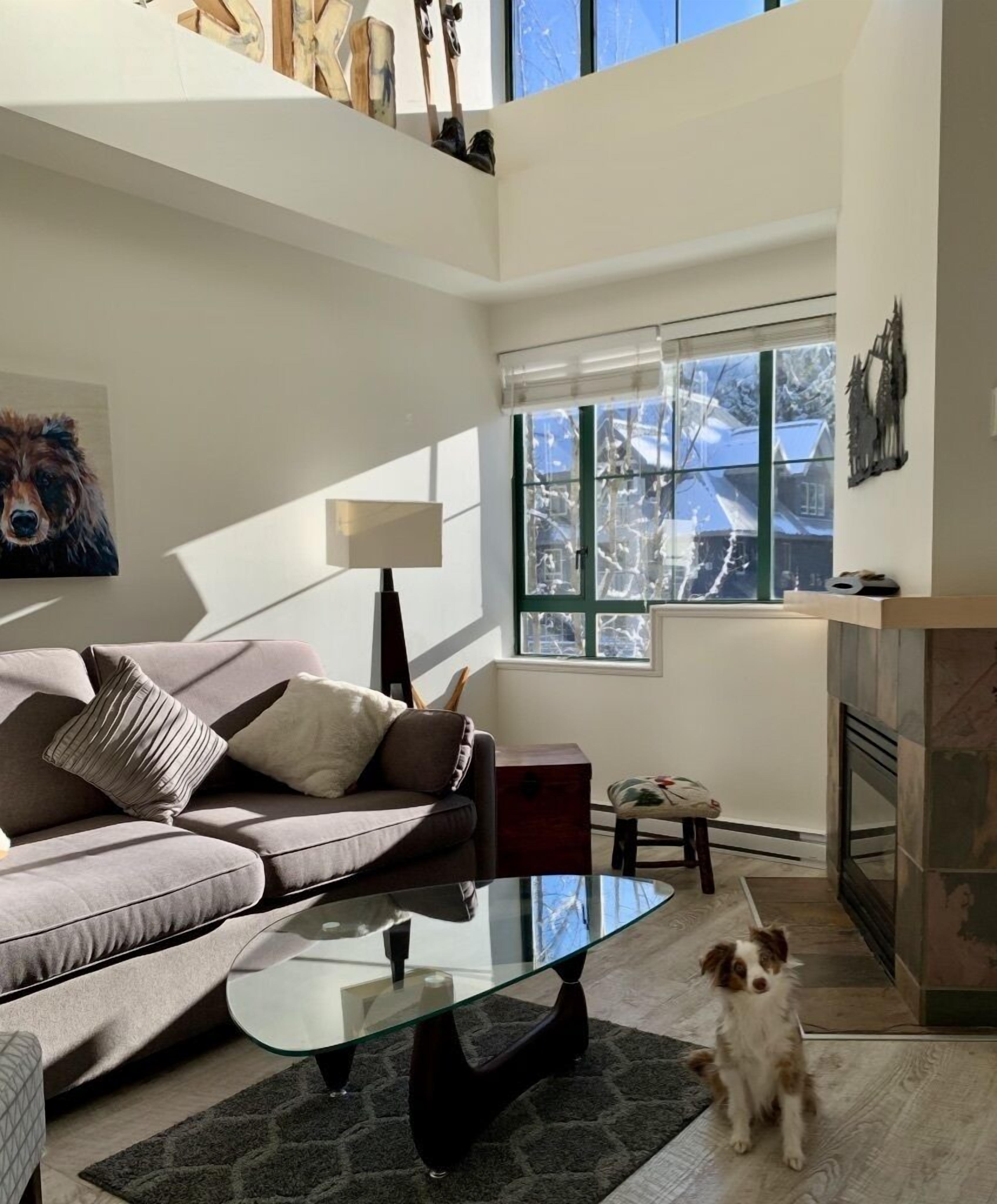 Cozy, Bright Whistler Village Studio, Hot Tub, Sleeps 4 ( 2 Adults 2 Children) - Whistler