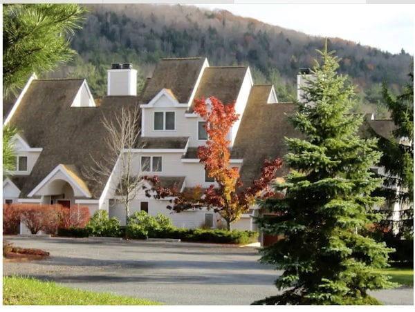 Modern & Cozy Getaway, Windham. Skiing. Perfect For Families. The Nordic Light - Windham, NY