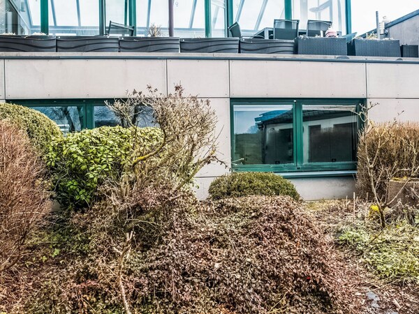 Cottage In Vaux-sur-sure With Garden - Bastogne