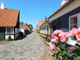 Uma rua de paralelepípedos ladeada por edifícios europeus tradicionais, uma bicicleta estacionada ao lado e uma flor em primeiro plano.