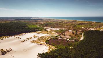 Paisagem costeira com áreas arenosas, florestas densas e vista clara do oceano.