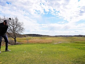 Um campo de golfe com um jogador de casaco e boné pretos, uma árvore e um céu claro.