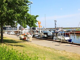 Marina com barcos atracados, um caminho arborizado e céu limpo.