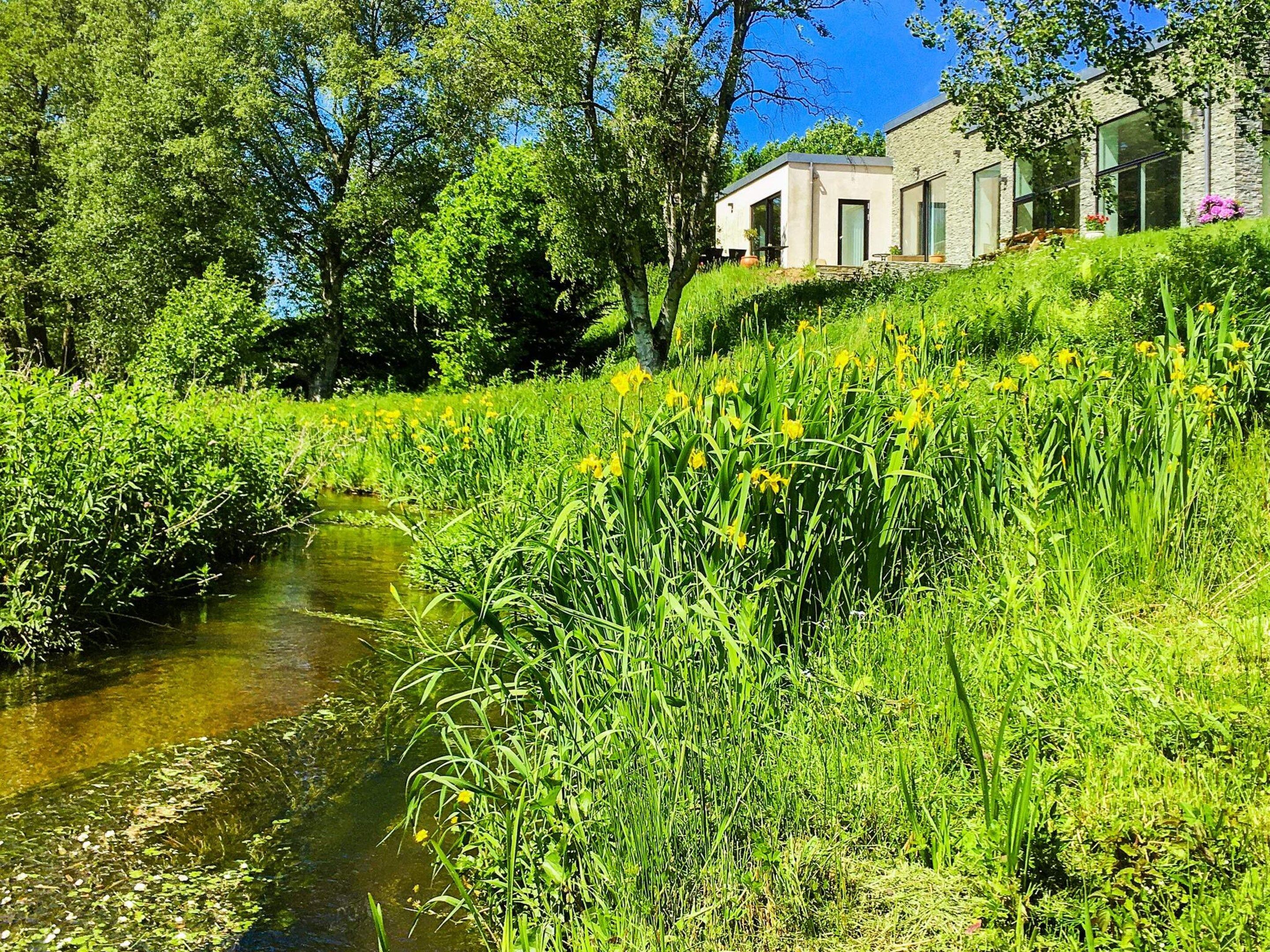 Área residencial com um riacho, vegetação exuberante e casas modernas.